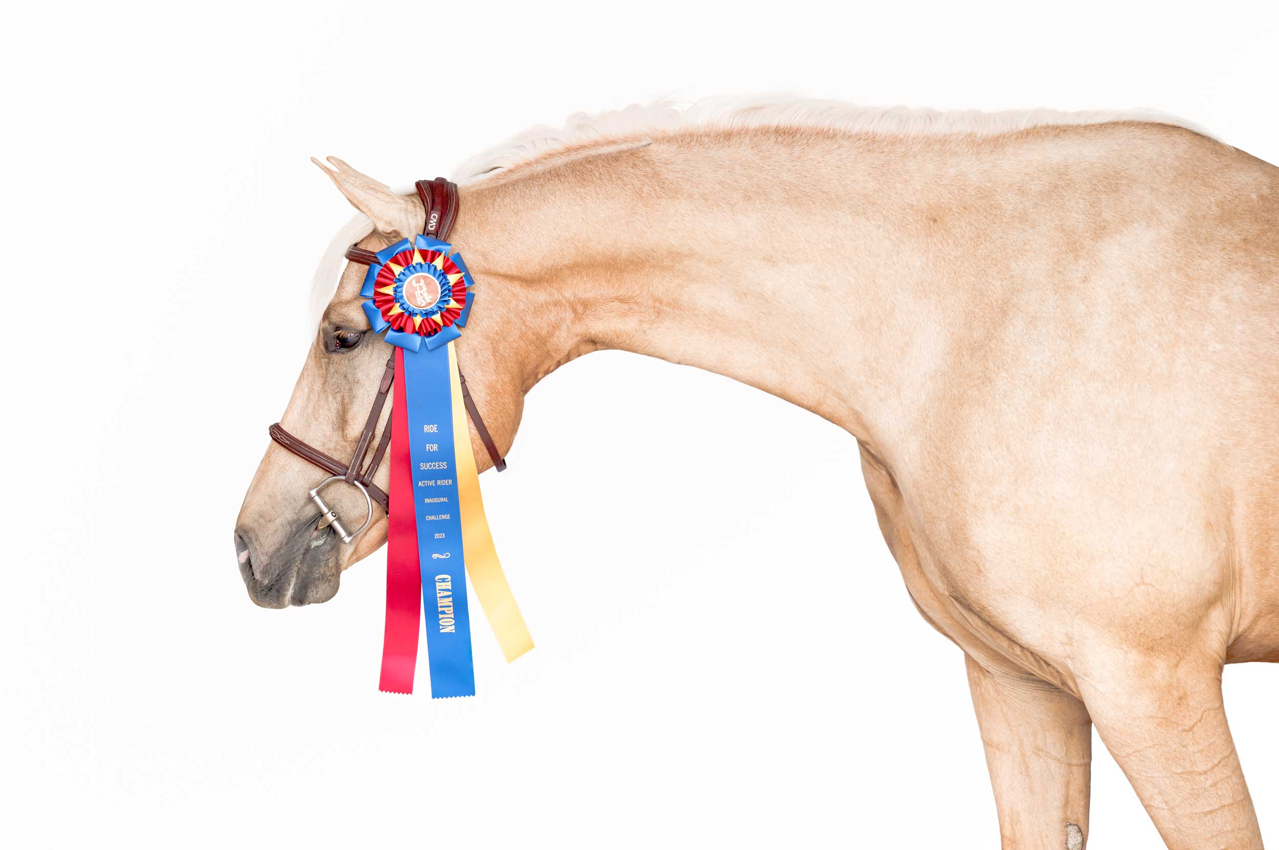 Home - Ride For Success