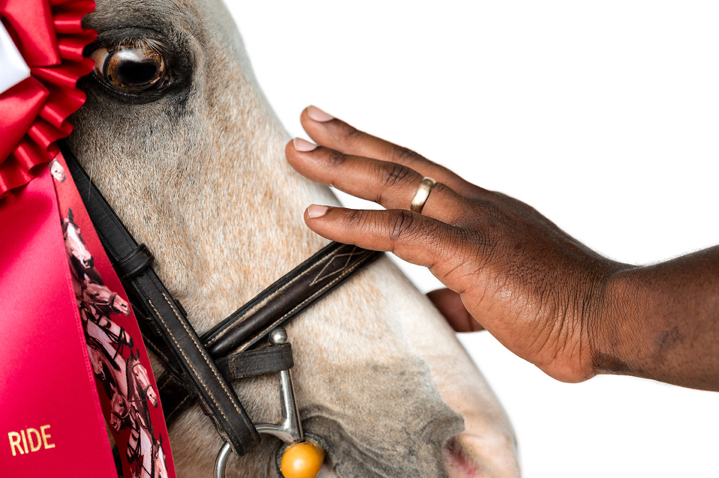 Uniting Hearts and Hooves: The Profound Horse-Human Connection Promoted ...