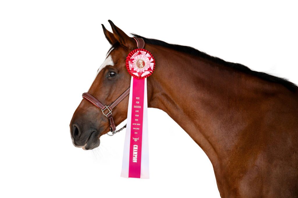 Ride for Success – Upcoming Equestrian 60-Day Challenges