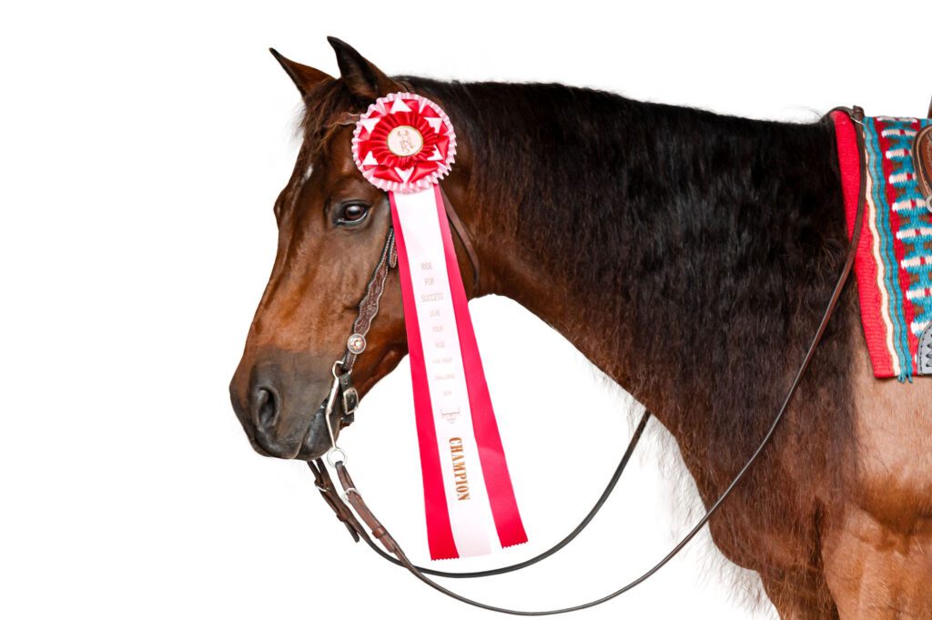 Ride for Success – Upcoming Equestrian 60-Day Challenges