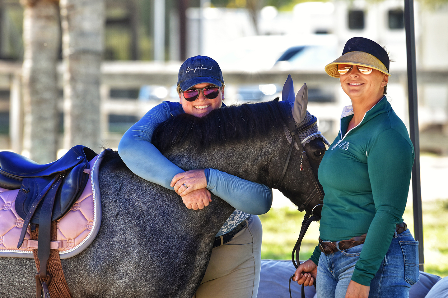 Enhance Accountability and Build Ethograms with Virtual Equestrian ...