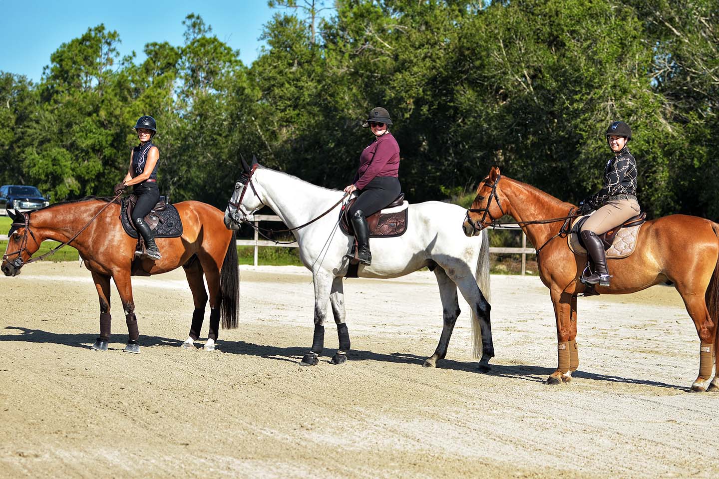 The Incredible Benefits of Horseback Riding for Autism - Ride For Success