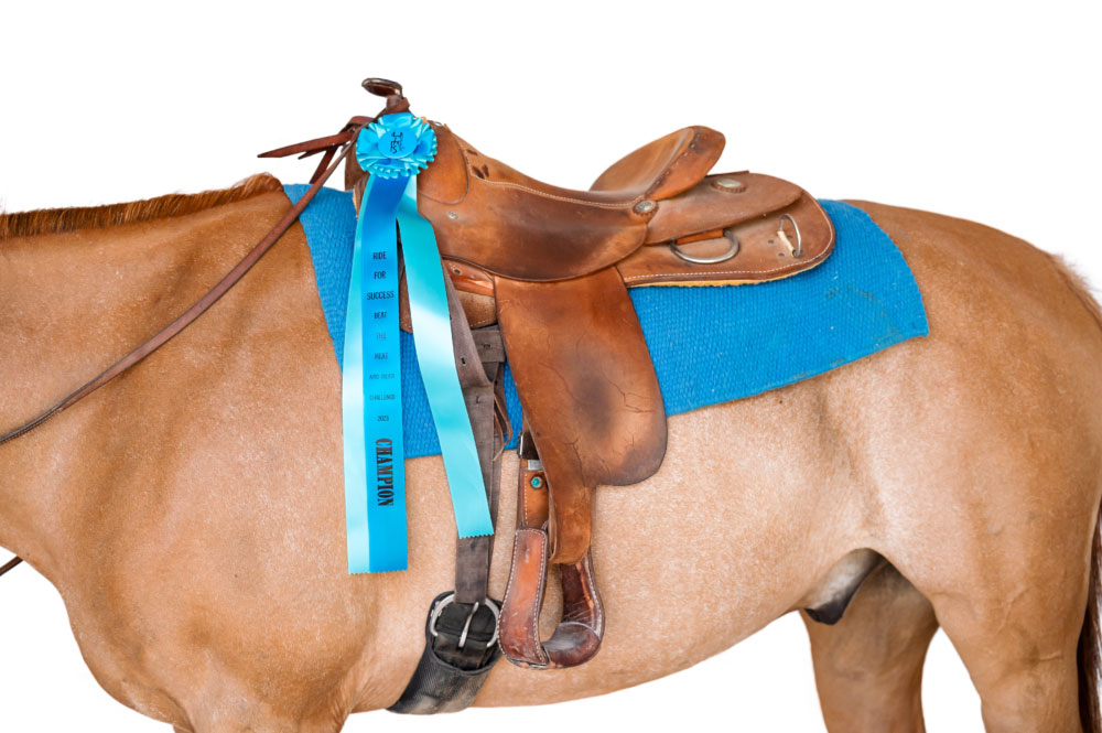 Home - Ride For Success